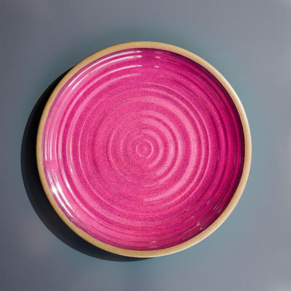 Caprice Pink Melamine Dinner Plate - Crate and Barrel | Havenly