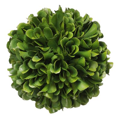 Ball Faux Boxwood Topiary - Wayfair | Havenly