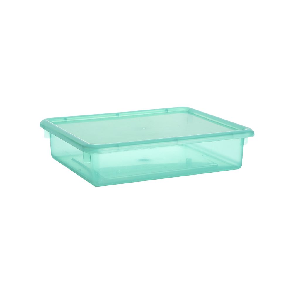 Small Green Plastic Storage Box - Crate and Barrel | Havenly
