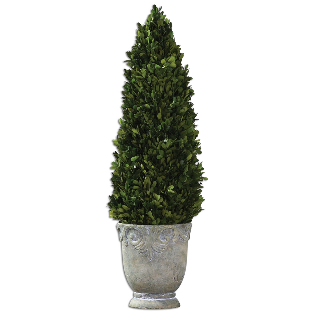 Boxwood, Cone Topiary - Hudsonhill Foundry | Havenly