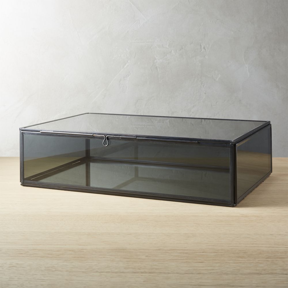 Large Smoked Glass Box - CB2 | Havenly